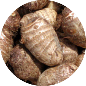 Tropifruit Growers