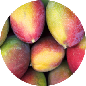 Tropifruit Customers